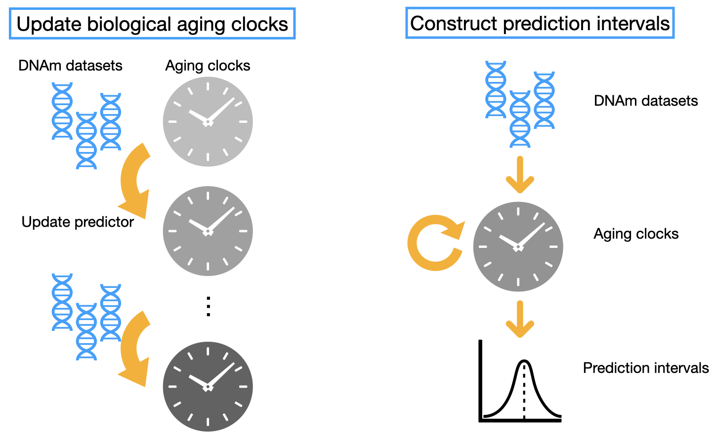 Epigenetic Clocks | Lan's Personal Webpage